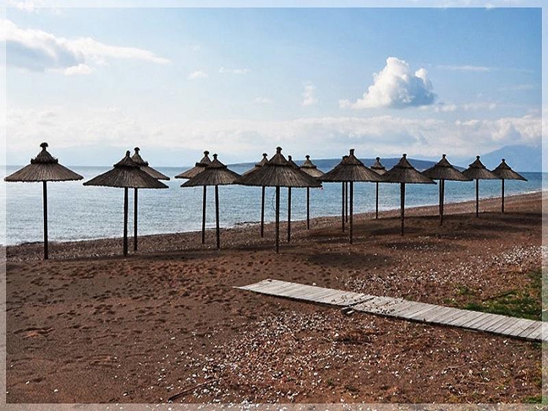 ΕΝΟΙΚΙΑΖΟΜΕΝΑ ΔΩΜΑΤΙΑ – ΚΑΤΟΙΚΙΕΣ - ΕΝΟΙΚΙΑΖΟΜΕΝΑ ΔΩΜΑΤ - 4ty.gr