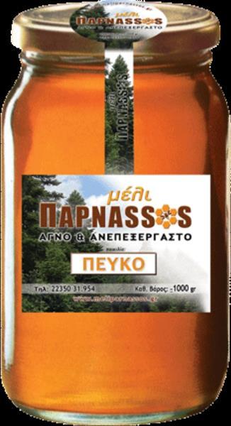 ΜΕΛΙΣΣΟΚΟΜΙΑ ΠΑΡΝΑΣΣΟΣ - ΒΙΟΛΟΓΙΚΟ ΑΝΕΠΕΞΕΡΓΑΣΤΟ ΜΕΛΙ - - 4ty.gr