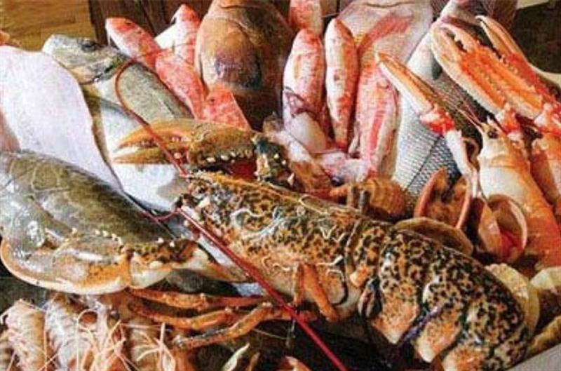 ΙΧΘΥΟΠΩΛΕΙΑ – ΕΙΣΑΓΩΓΕΣ - ΔΟΥΡΑΜΠΕΗΣ ΚΩΝΣΤΑΝΤΙΝΟΣ - ΙΧΘ - 4ty.gr