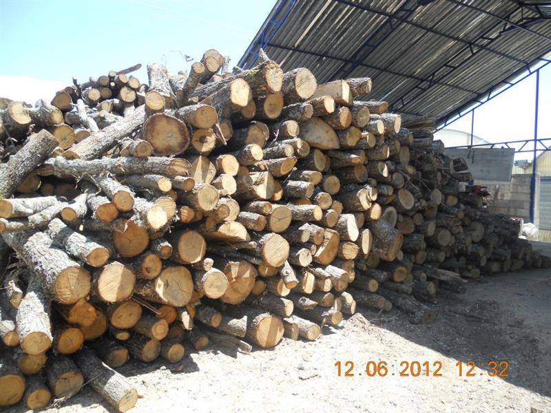 ΔΑΣΙΚΑ ΠΡΟΙΟΝΤΑ - ΚΑΥΣΟΞΥΛΑ - ΕΜΠΟΡΙΟ ΚΑΥΣΟΞΥΛΩΝ ΔΡΑΜΑ - 4ty.gr