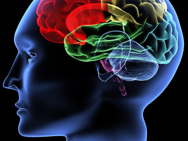 ΨΥΧΙΑΤΡΟΙ – ΨΥΧΟΘΕΡΑΠΕΥΤΕΣ – ΝΕΥΡΟΛΟΓΟΙ - DR. ΠΑΠΑΔΑΤΟ - 4ty.gr