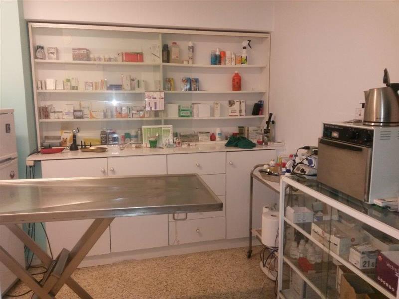 ΚΤΗΝΙΑΤΡΟΙ – ΚΛΙΝΙΚΕΣ ΖΩΩΝ - ΚΤΗΝΙΑΤΡΟΣ ΑΘΗΝΑ ΚΟΥΚΑΚΙ - 4ty.gr