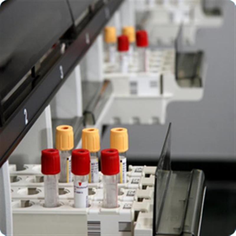 ΠΑΠΑΚΥΡΙΑΚΟΠΟΥΛΟΣ ΝΙΚΟΛΑΟΣ - ΜΙΚΡΟΒΙΟΛΟΓΟΣ ΚΙΑΤΟ ΚΟΡΙΝΘ - 4ty.gr