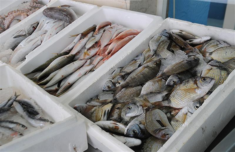 ΩΚΕΑΝΟΣ - ΙΧΘΥΟΠΩΛΕΙΟ ΨΗΤΟΠΩΛΕΙΟ ΚΩΣ ΔΩΔΕΚΑΝΗΣΑ - ΦΡΕΣΚ - 4ty.gr