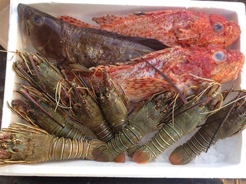 ΙΧΘΥΟΠΩΛΕΙΟ ΜΕΛΙΣΣΙΑ - ΕΜΠΟΡΙΟ ΦΡΕΣΚΩΝ ΨΑΡΙΩΝ ΜΕΛΙΣΣΙΑ - 4ty.gr