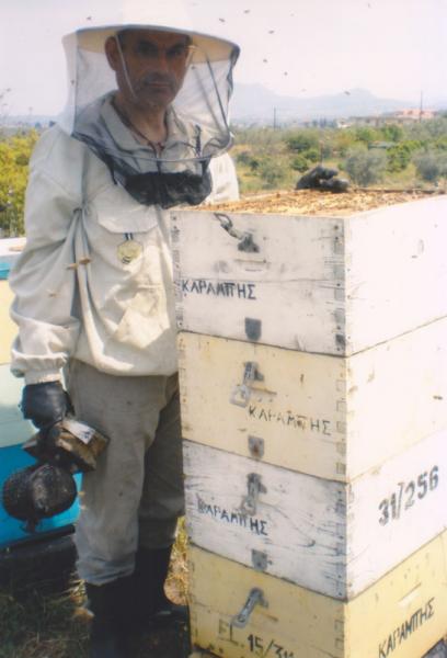 ΜΕΛΙΣΣΟΚΟΜΙΚΑ ΠΡΟΙΟΝΤΑ ΒΕΛΟ ΚΟΡΙΝΘΟΣ - ΜΕΛΙ ΕΛΑΤΟΥ ΠΕΡΛ - 4ty.gr