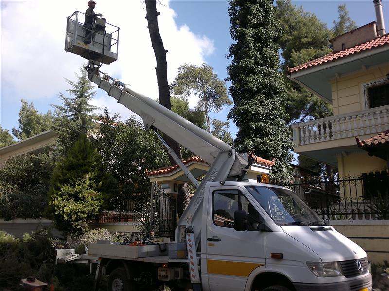 Δέντρο & Τέχνη Κλάδεμα, Κοπή Δέντρων Καματερό Αθήνα - 4ty.gr
