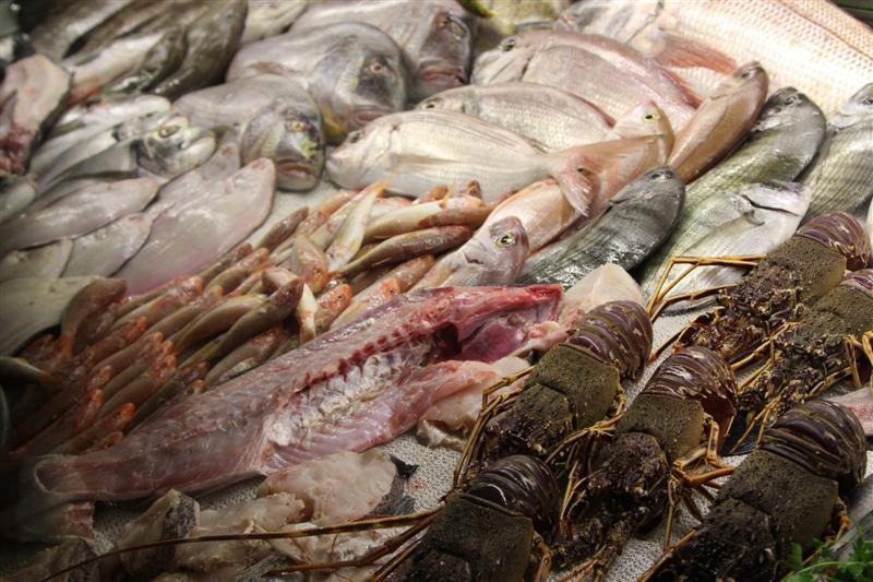 NIKOLAOS DICHTAPANIDIS - FISHMONGER – FRESH FISH KOS - - 4ty.gr