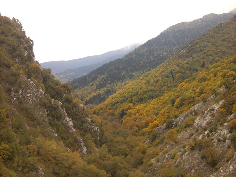 ΤΟΥΡΙΣΤΙΚΟ ΓΡΑΦΕΙΟ ΝΙΚΑΙΑ ΑΤΤΙΚΗ - ΤΑΞΙΔΙΑ - Αρχική