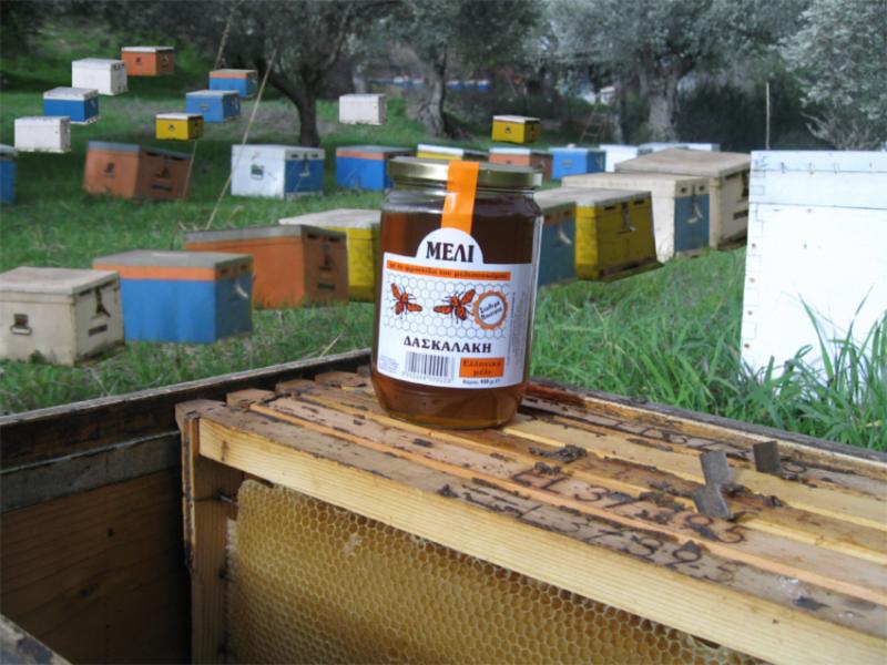 Μέλι Δασκαλάκη | Παραγωγή & Εμπόριο Μελιού Αθήνα - 4ty.gr