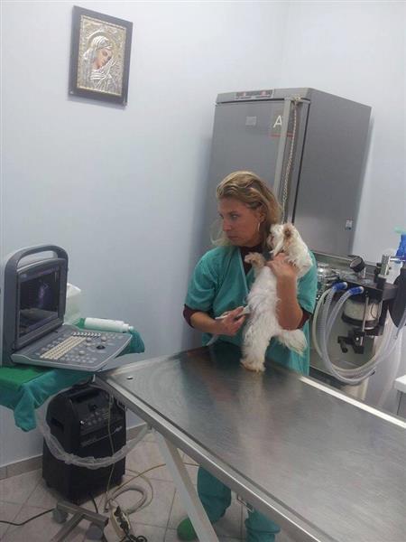 ANIMAL MEDICAL CARE - ΚΤΗΝΙΑΤΡΟΙ ΓΛΥΦΑΔΑ - 4ty.gr