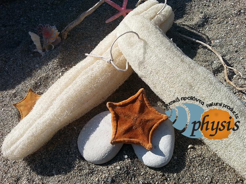 ΣΦΟΥΓΓΑΡΙΑ ΚΑΛΥΜΝΟΣ - ΦΥΣΙΚΟ ΣΦΟΥΓΓΑΡΙ - ΣΠΟΓΓΟΙ Αρχική