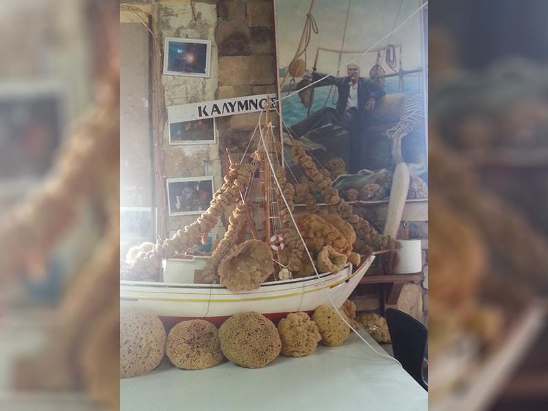 ΣΦΟΥΓΓΑΡΙΑ ΚΑΛΥΜΝΟΣ - ΦΥΣΙΚΟ ΣΦΟΥΓΓΑΡΙ - ΣΠΟΓΓΟΙ Αρχική