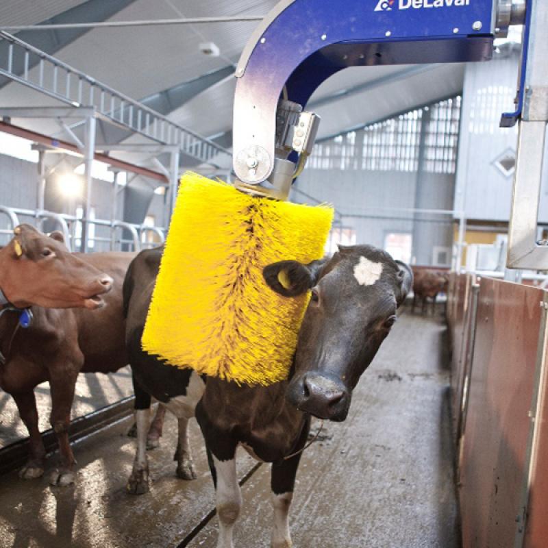 DeLaval Καρυδόπουλος | Κτηνοτροφικά Μηχανήματα Αρχική