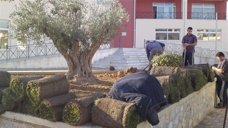 Ανθοτεχνική Νεμέας - Κόρακας Αθανάσιος - 4ty.gr Αρχική