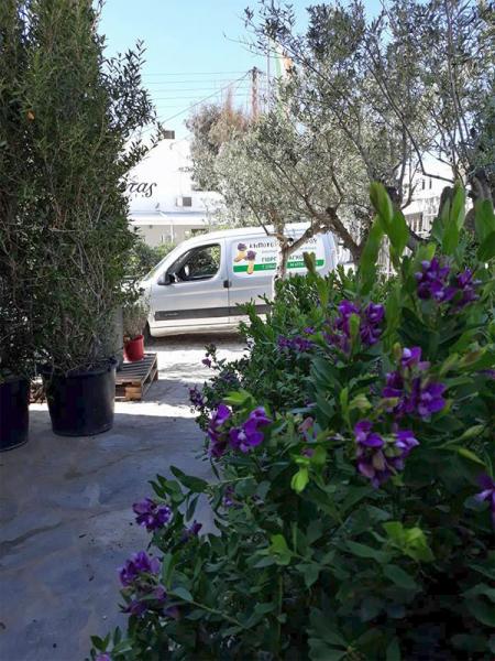 Κηποτεχνική Πάρου | Κατασκευή & Συντήρηση Κήπου - 4ty.gr