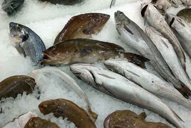 Θάλαττα | Ιχθυοπωλείο Πειραιάς | Ψήσιμο ψαριών - 4ty.gr