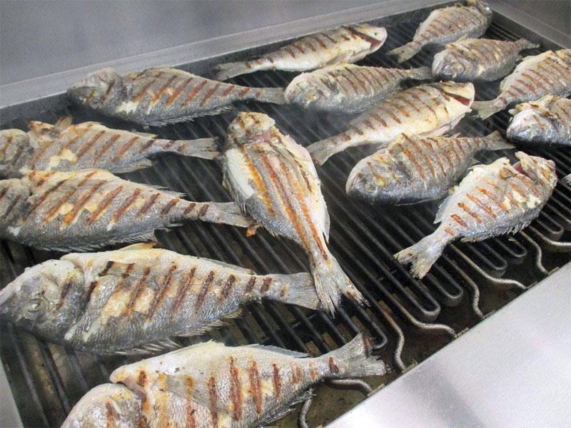 Θάλαττα | Ιχθυοπωλείο Πειραιάς | Ψήσιμο ψαριών - 4ty.gr