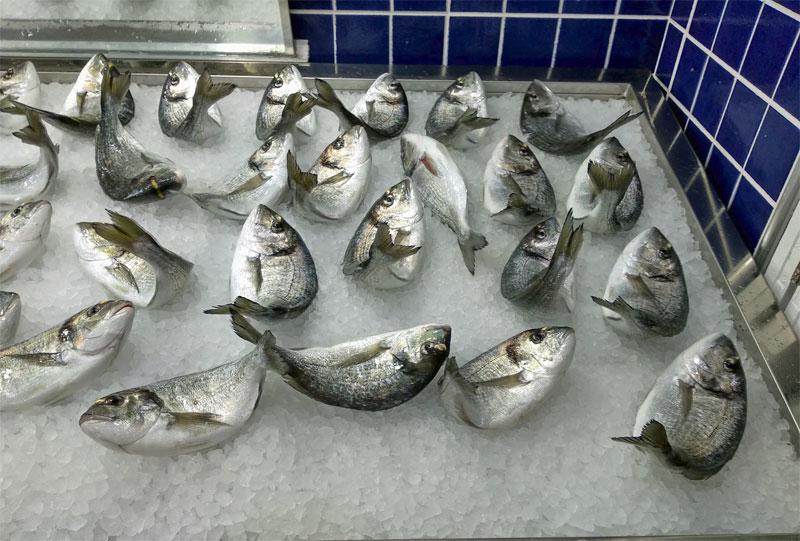 Θάλαττα | Ιχθυοπωλείο Πειραιάς | Ψήσιμο ψαριών - 4ty.gr