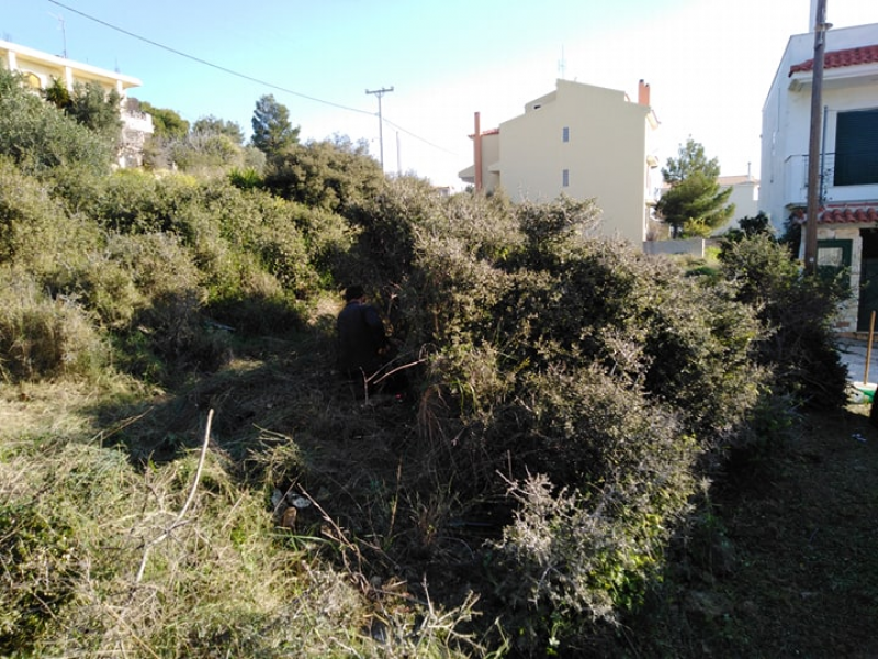 ΥΠΗΡΕΣΙΕΣ - ΚΟΠΗ ΧΟΡΤΩΝ ΑΤΤΙΚΗ - ΚΑΘΑΡΙΣΜΟΣ ΟΙΚΟΠΕΔΩΝ Α - 4ty.gr