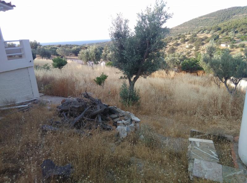 ΥΠΗΡΕΣΙΕΣ - ΚΟΠΗ ΧΟΡΤΩΝ ΑΤΤΙΚΗ - ΚΑΘΑΡΙΣΜΟΣ ΟΙΚΟΠΕΔΩΝ Α - 4ty.gr