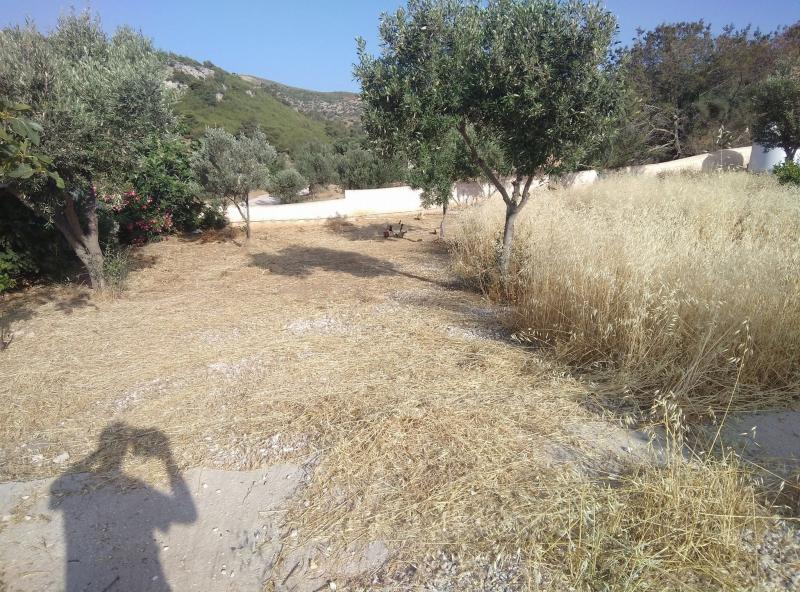 ΥΠΗΡΕΣΙΕΣ - ΚΟΠΗ ΧΟΡΤΩΝ ΑΤΤΙΚΗ - ΚΑΘΑΡΙΣΜΟΣ ΟΙΚΟΠΕΔΩΝ Α - 4ty.gr