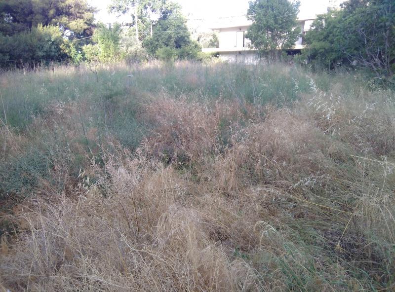 ΥΠΗΡΕΣΙΕΣ - ΚΟΠΗ ΧΟΡΤΩΝ ΑΤΤΙΚΗ - ΚΑΘΑΡΙΣΜΟΣ ΟΙΚΟΠΕΔΩΝ Α - 4ty.gr
