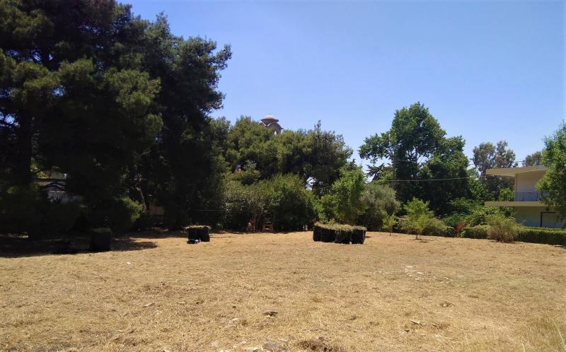 ΥΠΗΡΕΣΙΕΣ - ΚΟΠΗ ΧΟΡΤΩΝ ΑΤΤΙΚΗ - ΚΑΘΑΡΙΣΜΟΣ ΟΙΚΟΠΕΔΩΝ Α - 4ty.gr