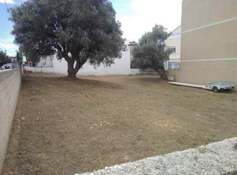 ΥΠΗΡΕΣΙΕΣ - ΚΟΠΗ ΧΟΡΤΩΝ ΑΤΤΙΚΗ - ΚΑΘΑΡΙΣΜΟΣ ΟΙΚΟΠΕΔΩΝ Α - 4ty.gr