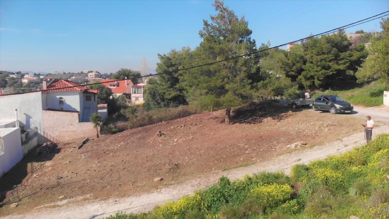 ΥΠΗΡΕΣΙΕΣ - ΚΟΠΗ ΧΟΡΤΩΝ ΑΤΤΙΚΗ - ΚΑΘΑΡΙΣΜΟΣ ΟΙΚΟΠΕΔΩΝ Α - 4ty.gr