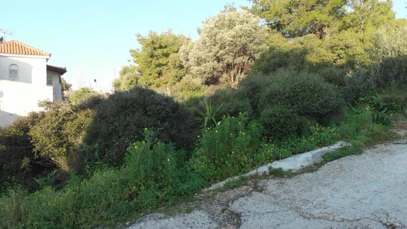 ΥΠΗΡΕΣΙΕΣ - ΚΟΠΗ ΧΟΡΤΩΝ ΑΤΤΙΚΗ - ΚΑΘΑΡΙΣΜΟΣ ΟΙΚΟΠΕΔΩΝ Α - 4ty.gr