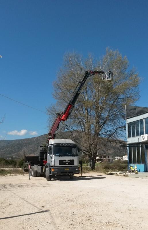 ΘΕΟΔΩΡΟΣ ΒΑΡΕΛΑΣ | Μεταφορές & Γερανοί Άργος Αργολίδα