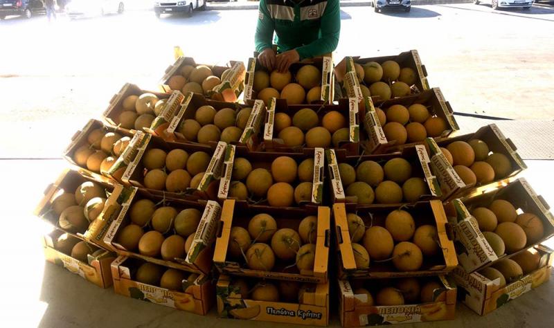 Συσκευασία & Εμπόριο Φρούτων Αγιά Λάρισας | My fruit - Επικοινωνία