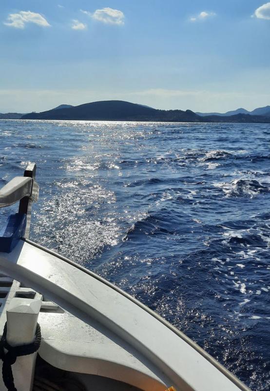 Argeitis marine | Parking σκαφών - Μεταφορά σκαφών - Επισκευές σκαφών ...