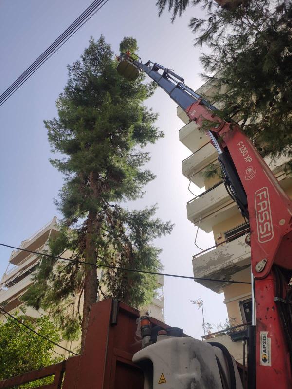 ΓΕΡΑΝΟΜΕΤΑΦΟΡΕΣ ΑΛΙΜΟΣ ΑΘΗΝΑ - ΓΕΡΑΝΟΙ ΑΘΗΝΑ - ΓΕΡΑΝΟΙ ΑΤΤΙΚΗ, ΝΟΤΙΑ ...