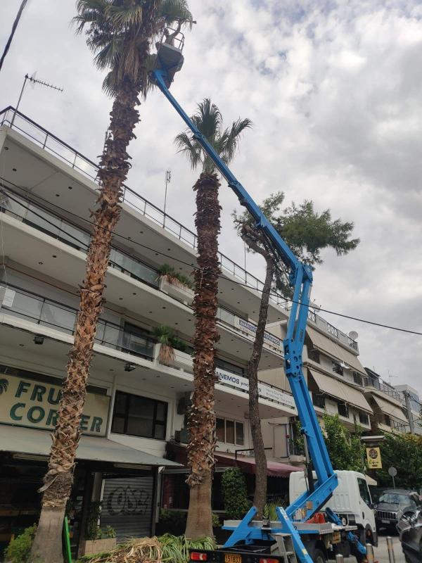 ΓΕΡΑΝΟΜΕΤΑΦΟΡΕΣ ΑΛΙΜΟΣ ΑΘΗΝΑ - ΓΕΡΑΝΟΙ ΑΘΗΝΑ - ΓΕΡΑΝΟΙ ΑΤΤΙΚΗ, ΝΟΤΙΑ ...
