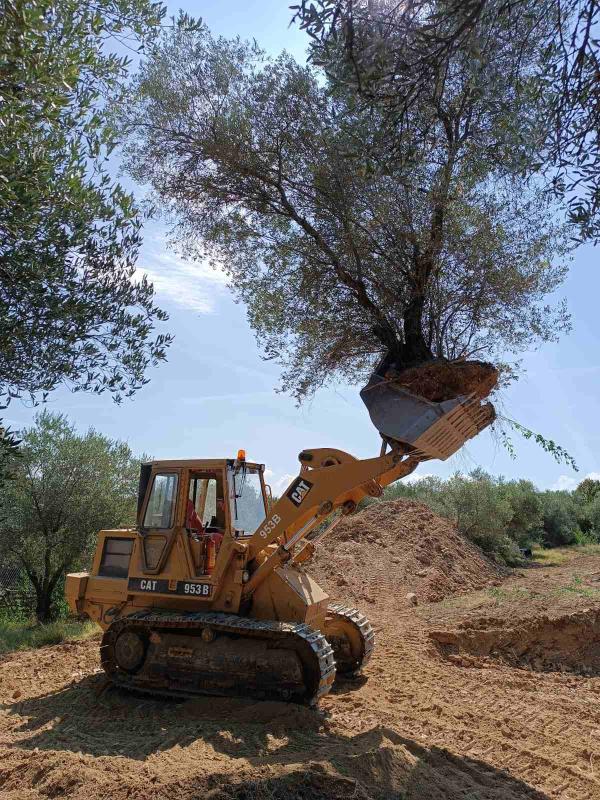 ΠΑΛΛΑΣ ΝΙΚΟΛΑΟΣ | Χωματουργικές Εργασίες Θεσσαλονίκη