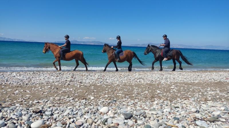 NiVa Ranch Rhodes | Horse Ranch - Adult Horse Riding - Children Horse ...