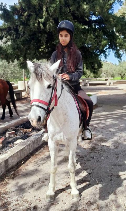 NiVa Ranch Rhodes | Horse Ranch - Adult Horse Riding - Children Horse ...