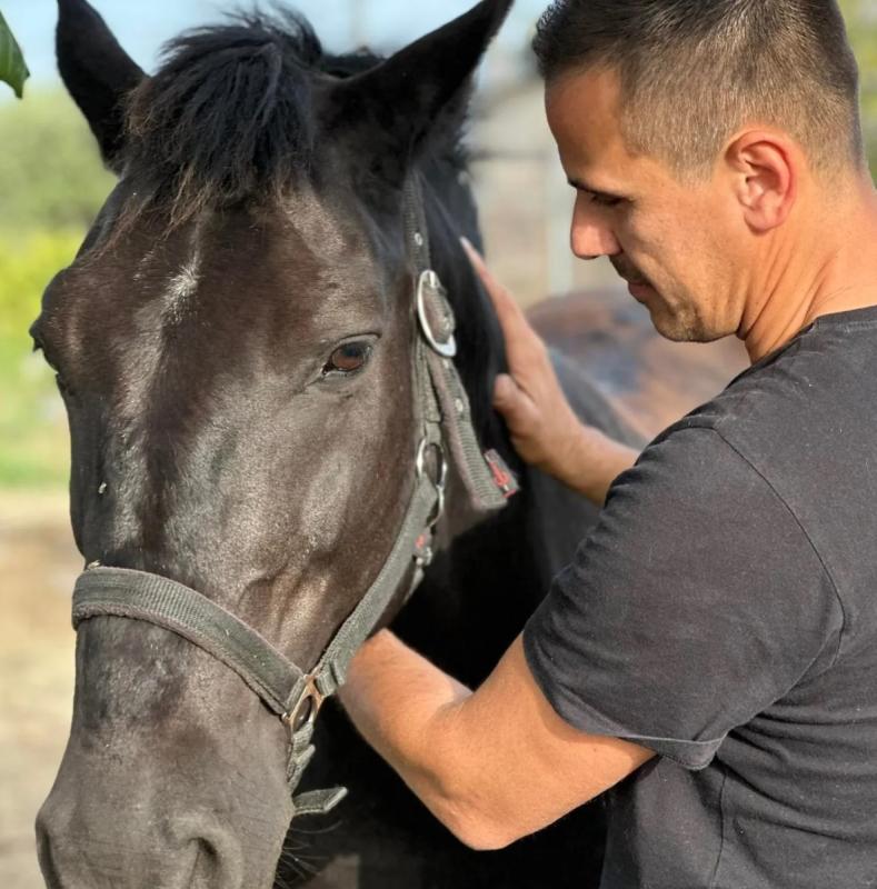 NiVa Ranch Rhodes | Horse Ranch - Adult Horse Riding - Children Horse ...