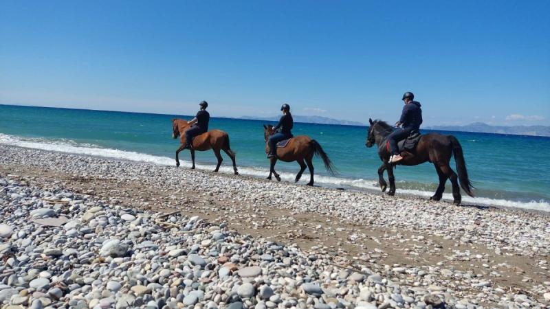 NiVa Ranch Rhodes | Horse Ranch - Adult Horse Riding - Children Horse ...