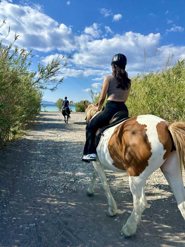 NiVa Ranch Rhodes | Ράντζο με άλογα - Ιππασία ενηλίκων - Ιππασία για ...