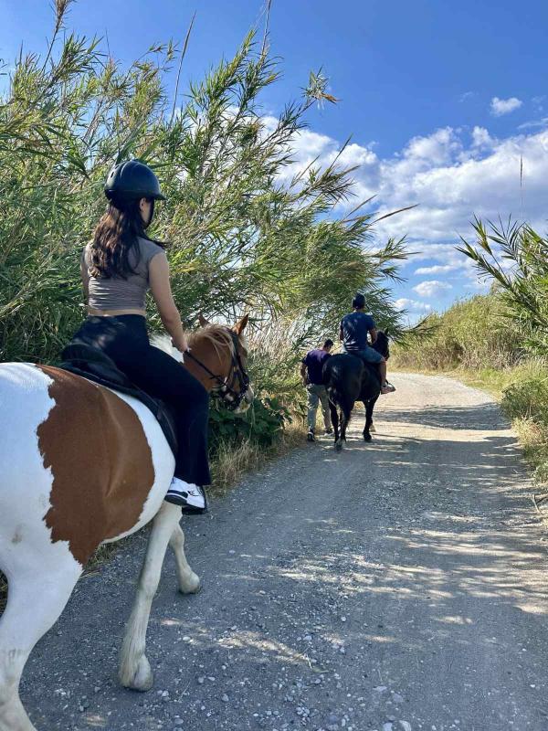 NiVa Ranch Rhodes | Ράντζο με άλογα - Ιππασία ενηλίκων - Ιππασία για ...