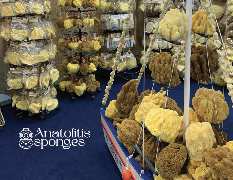 Natural Sea Sponges Chania Crete | ANATOLITIS SPONGES - Contact