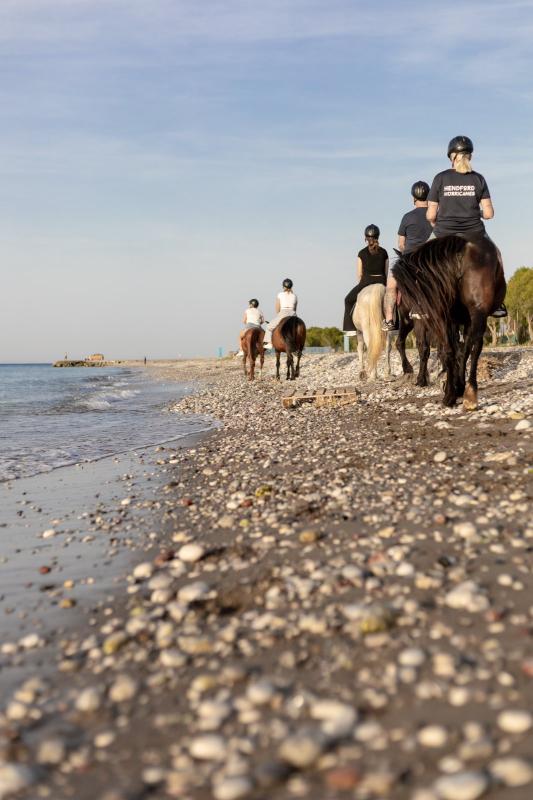 NiVa Ranch Rhodes | Ράντζο με άλογα - Ιππασία ενηλίκων - Ιππασία για ...