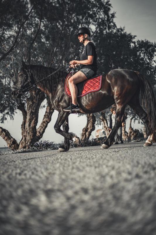 NiVa Ranch Rhodes | Ράντζο με άλογα - Ιππασία ενηλίκων - Ιππασία για ...