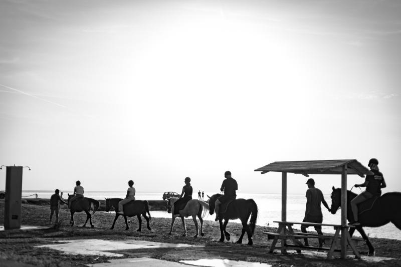 NiVa Ranch Rhodes | Ράντζο με άλογα - Ιππασία ενηλίκων - Ιππασία για ...