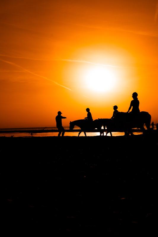 NiVa Ranch Rhodes | Ράντζο με άλογα - Ιππασία ενηλίκων - Ιππασία για ...