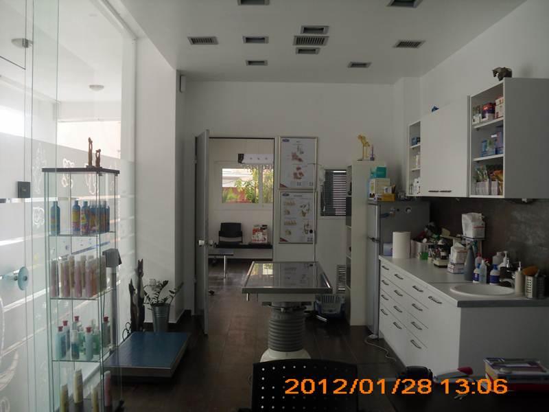 ΚΤΗΝΙΑΤΡΟΙ – ΚΛΙΝΙΚΕΣ ΖΩΩΝ - ΚΤΗΝΙΑΤΡΟΣ ΠΕΡΙΣΤΕΡΙ ΑΘΗΝΑ - 4ty.gr