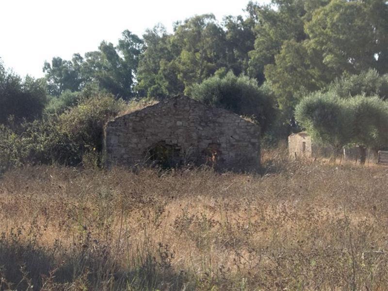 ΟΙΝΟΠΟΙΕΙΑ – ΑΠΟΣΤΑΚΤΗΡΙΑ - ΟΙΝΟΠΟΙΕΙΟ ΕΛΑΙΟΤΡΙΒΕΙΟ ΠΑΤ - 4ty.gr